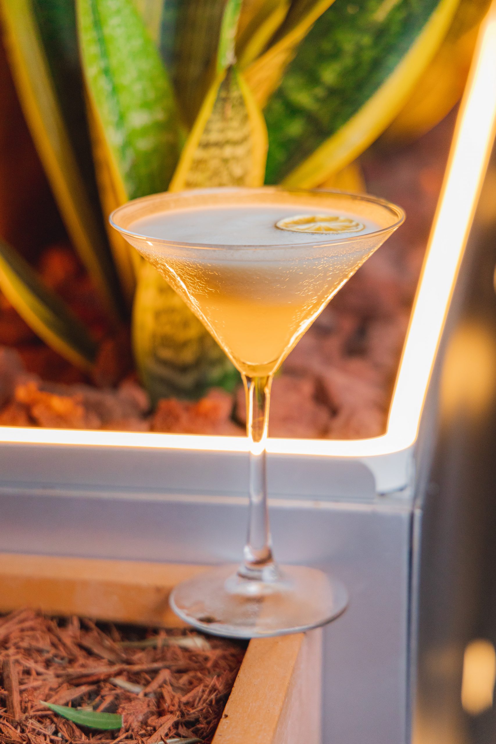 Our Menu – AZAR Open Fire Cuisine